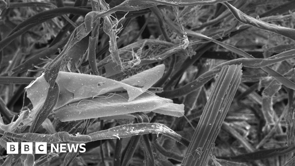 Thousands of microbes found in house dust - BBC News