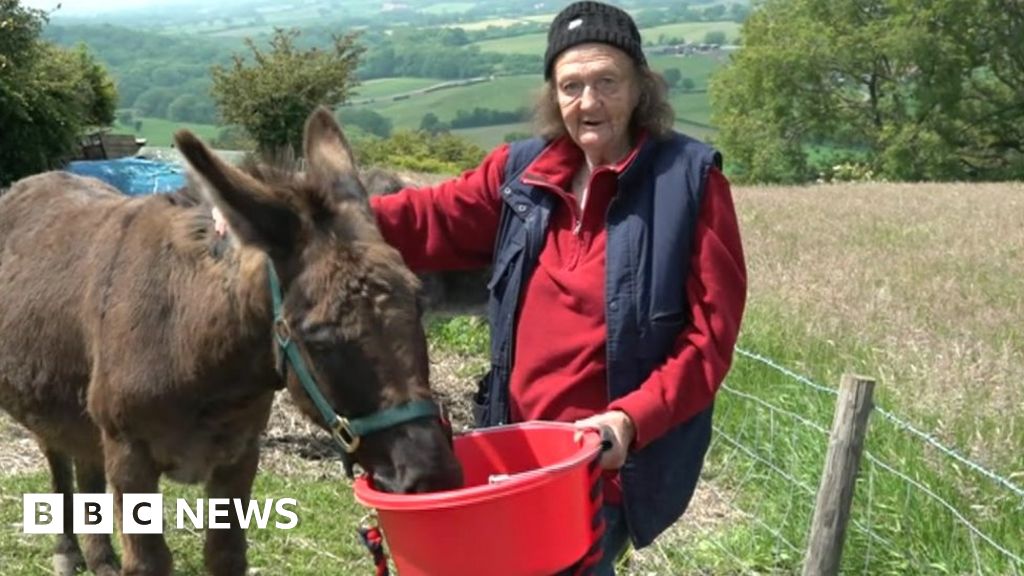 Whitby donkeys: Owner gets life ban for causing animal suffering - BBC News