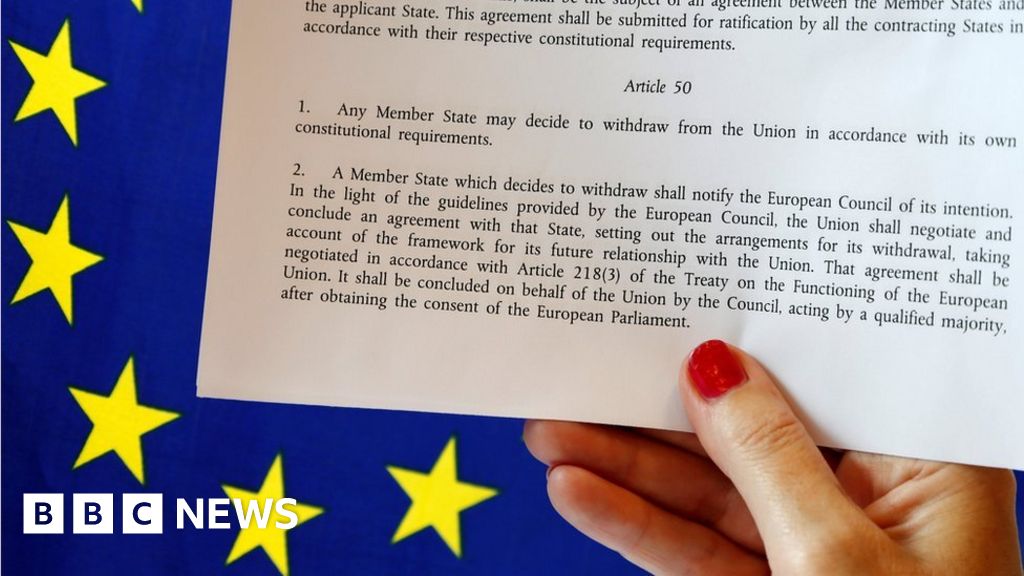 Brexit in the High Court: What the legal arguments tell us - BBC News