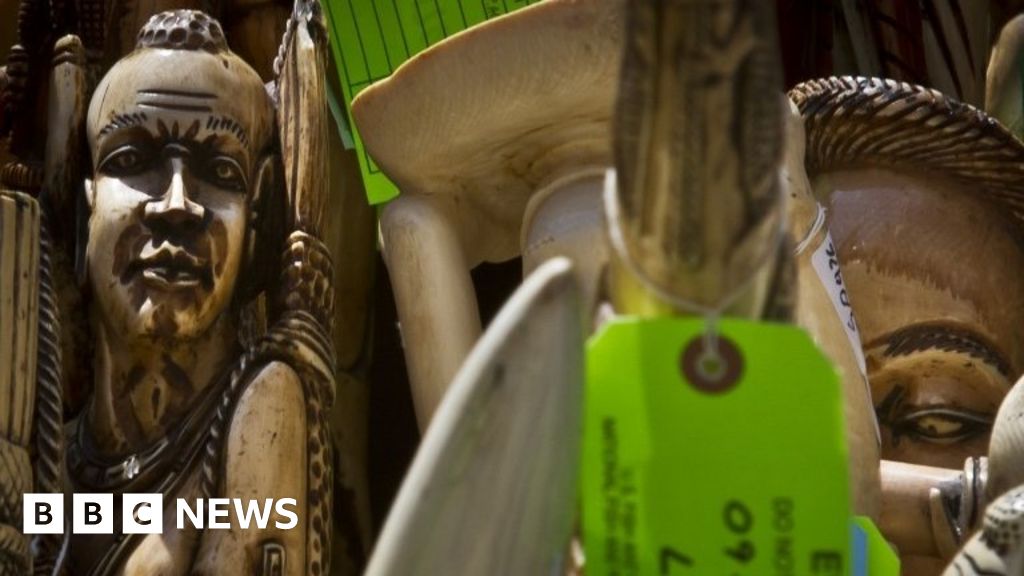Illegal ivory crushed in New York's Times Square - BBC News