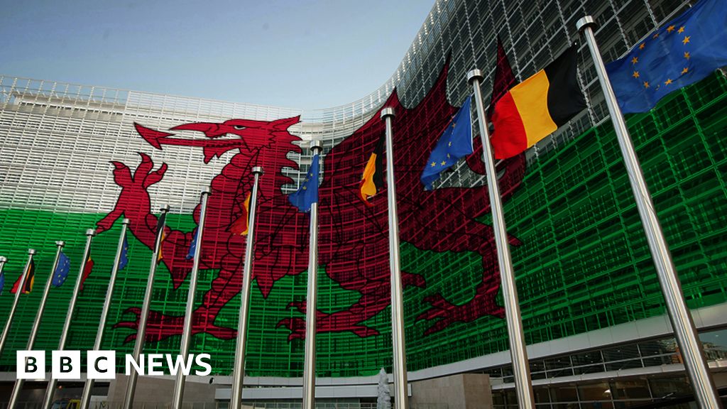 Plaid Cymru Brexit bill warning to Welsh ministers