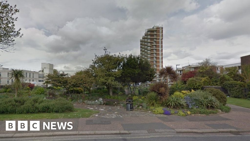 Bognor rape inquiry: Man held over 'prolonged assault' - BBC News