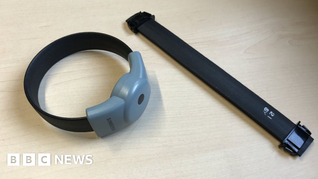Electronic tags fault leads to review of 'tampering' convictions - BBC News