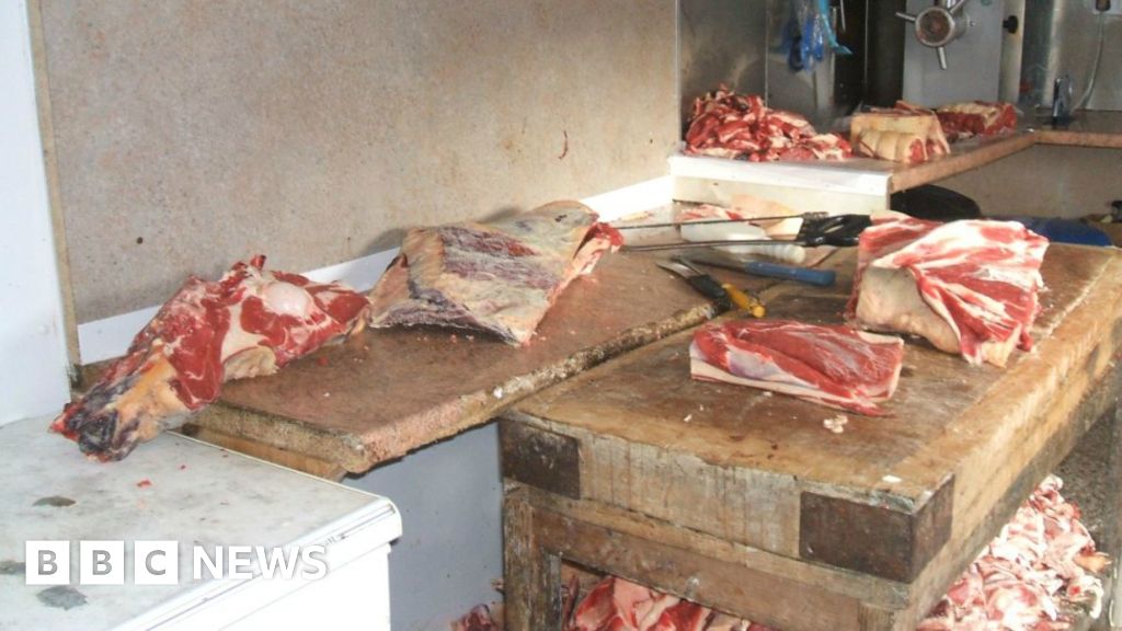 Thousands of animals butchered in 'filthy' Devon abattoir - BBC News