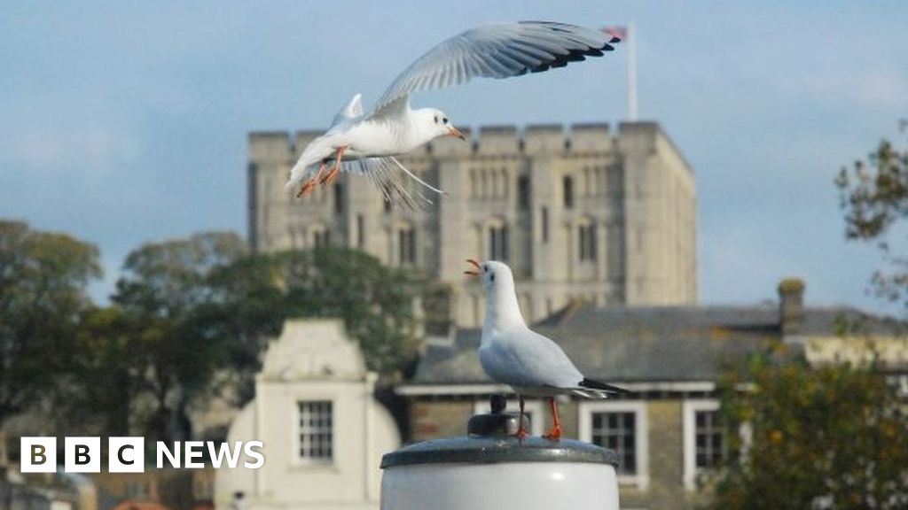 In pictures: The Norwich landmarks saved and preserved - BBC News