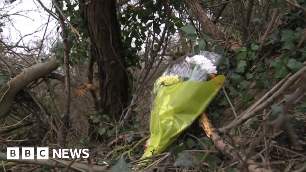 Two teenaged passengers killed when car hits tree in Howden - BBC News