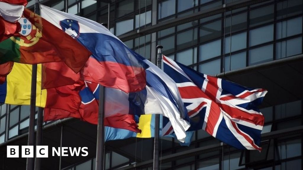 Brexit could lead to EU break-up - Swedish FM Wallstrom - BBC News