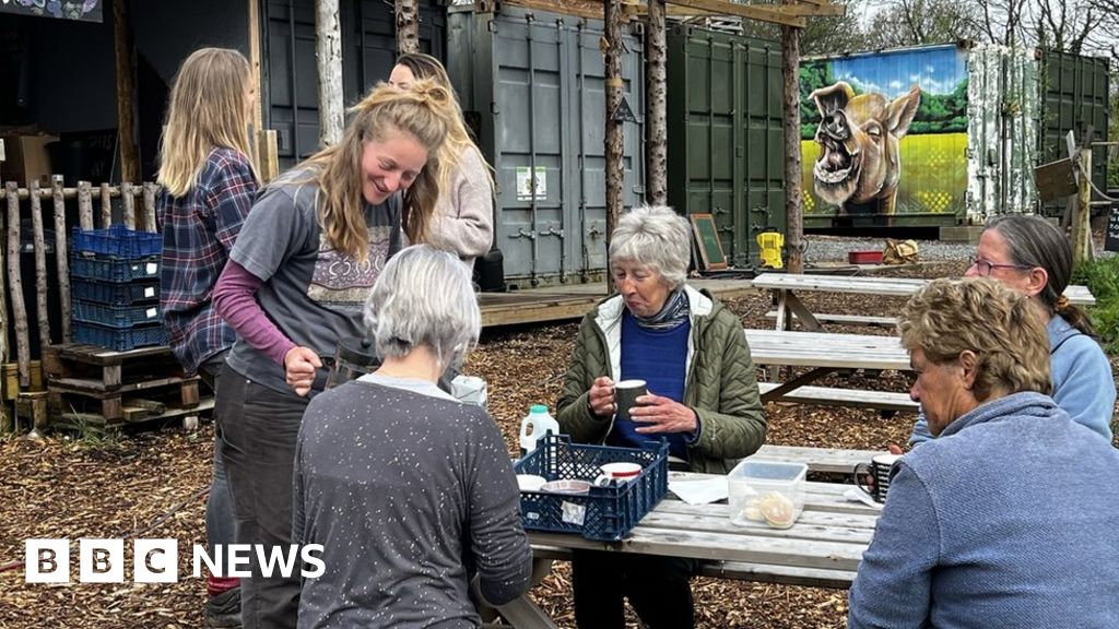 Women's Shed: Swansea farm offers friendship and purpose - BBC News