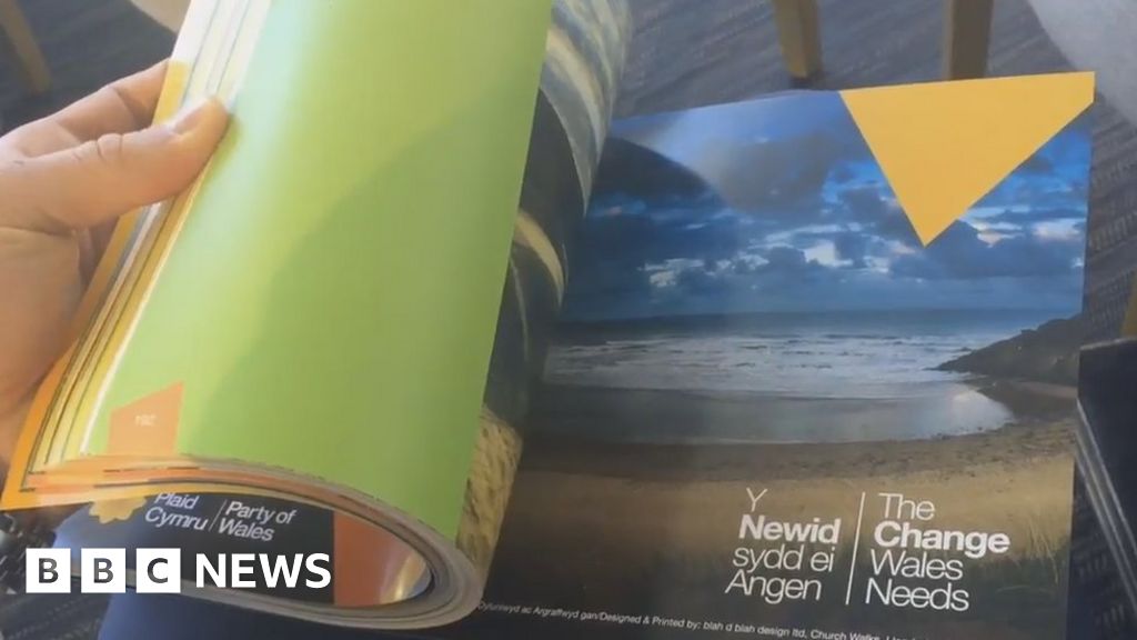Plaid Cymru's election manifesto: A closer look - BBC News