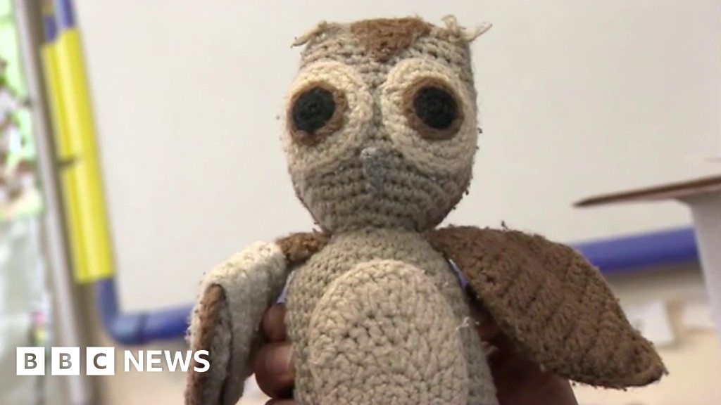 School owl mascot returns after six-month adventure - BBC News