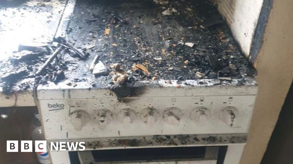 Dog starts fire at Worthing home after switching on hob - BBC News
