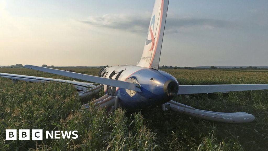 Russia bird strike: Plane crash-lands after hitting gulls - BBC News