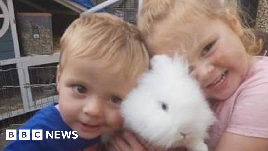 M4 crash: The two children killed by a reckless drink and drug driver ...