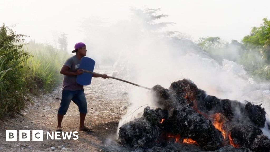 Western plastics 'poisoning Indonesian food chain'