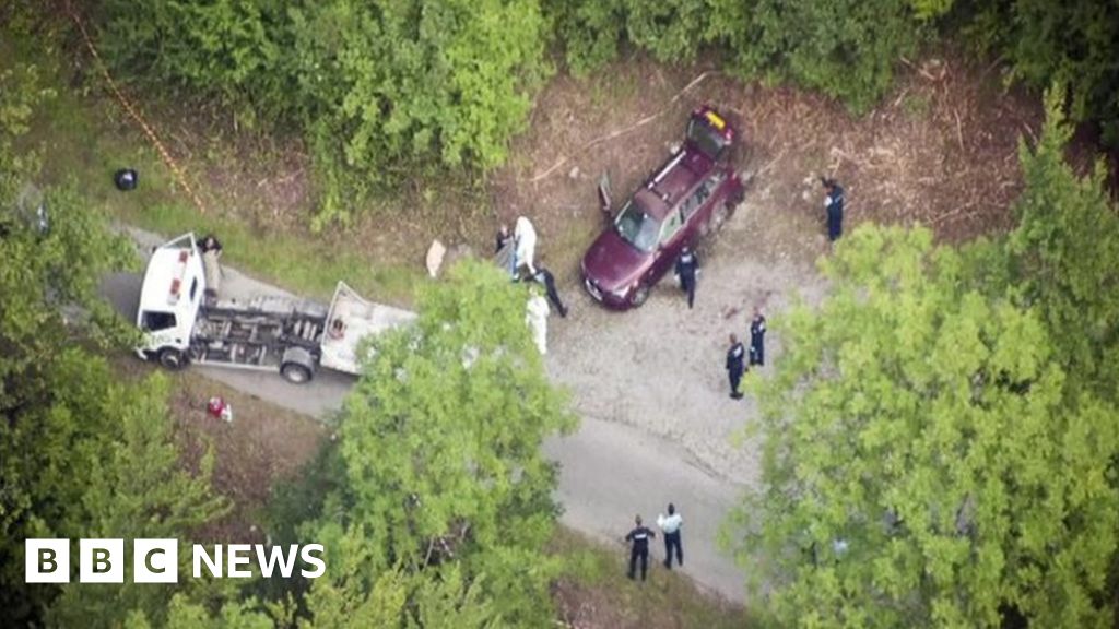 Alps Murder: 'No progress' five years on