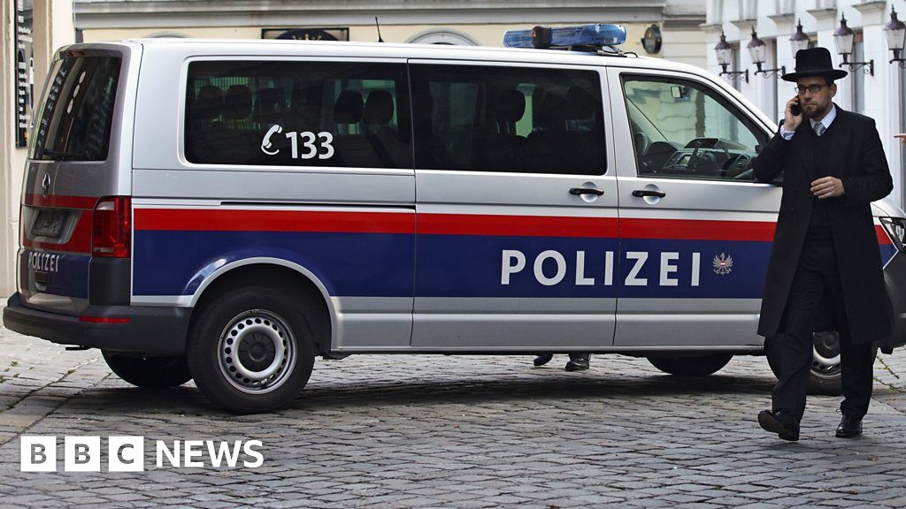 Vienna shooting: 'I thought it was fireworks... then I saw a gunman ...