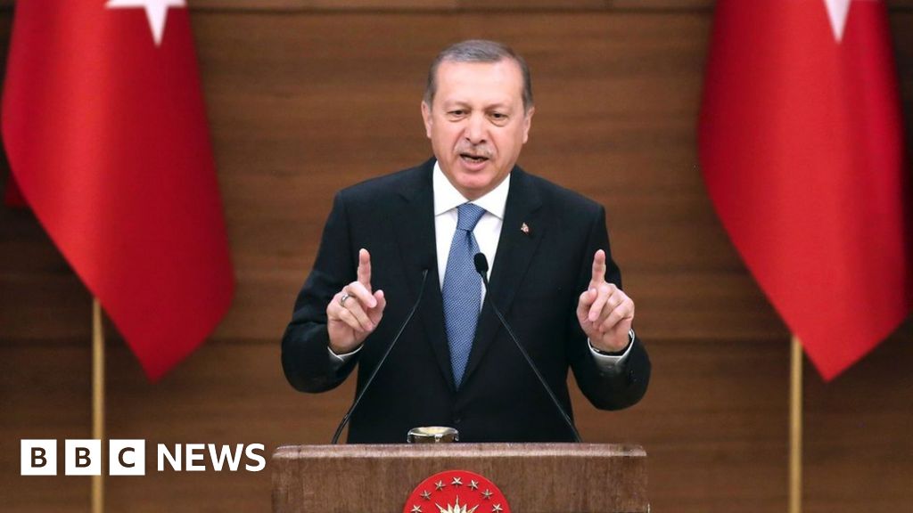 Turkey academics on trial for 'terrorist propaganda' - BBC News