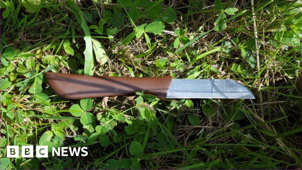 Father detains nine-year-old who pulled knife on his son