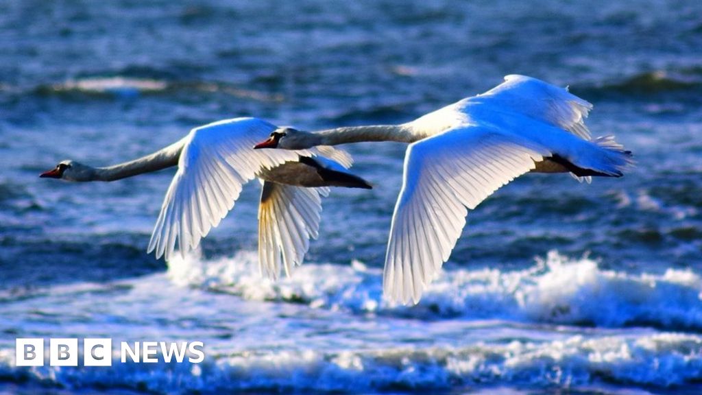 Your pictures of Scotland - BBC News
