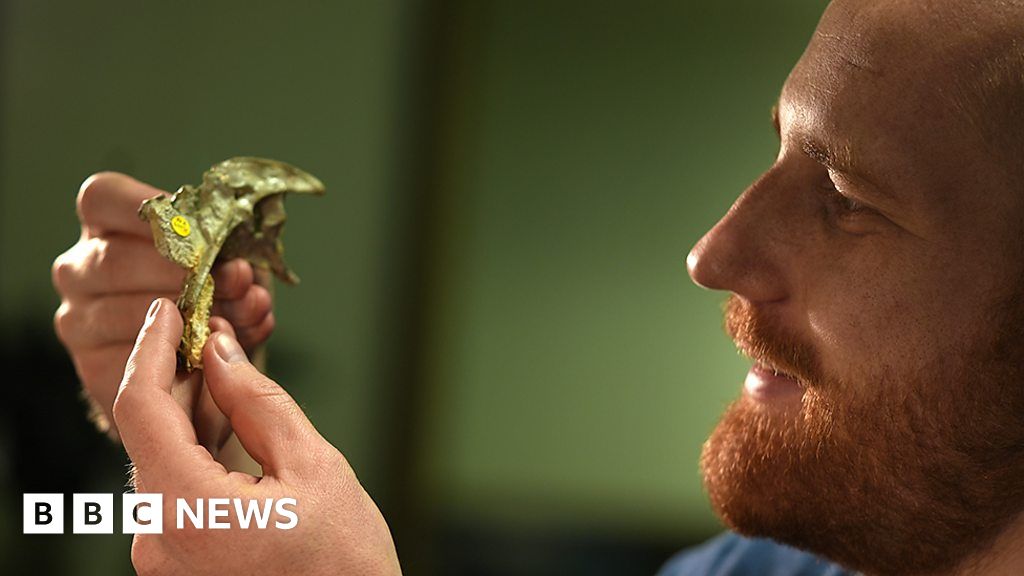 Identifying the UK's oldest meat-eating dinosaur - BBC News