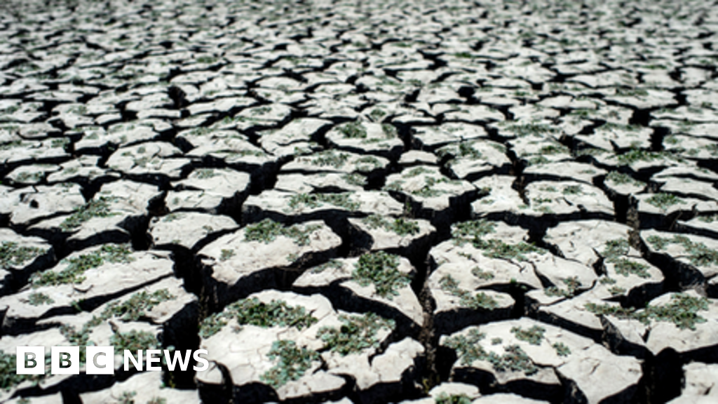 Climate change: World mustn't forget 'deeper emergency' - BBC News