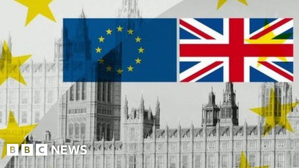 Pro-Europe referendum group launches - BBC News