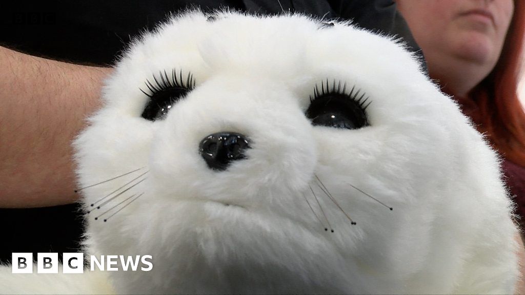 University of Lincoln 'robot' seal used to help vulnerable people - BBC ...