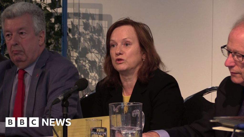 Joan McAlpine: Brexit talks put indyref2 'on back burner' - BBC News