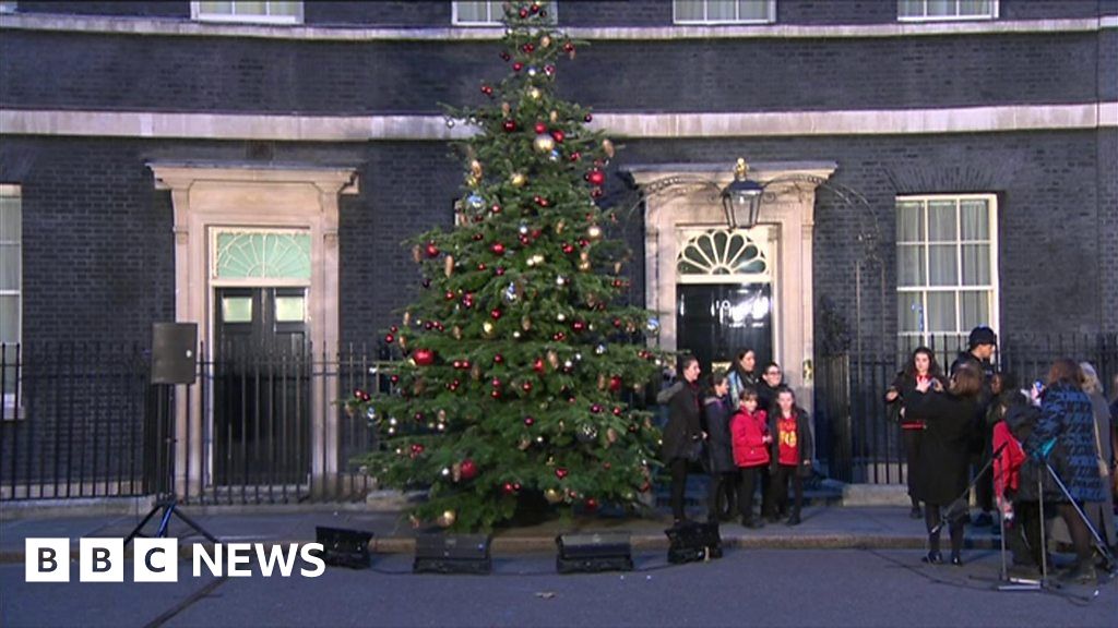 Gower farmer's Christmas tree on show at Number 10