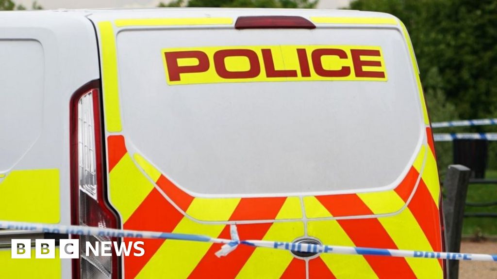 Leeds dog attack leaves three children injured