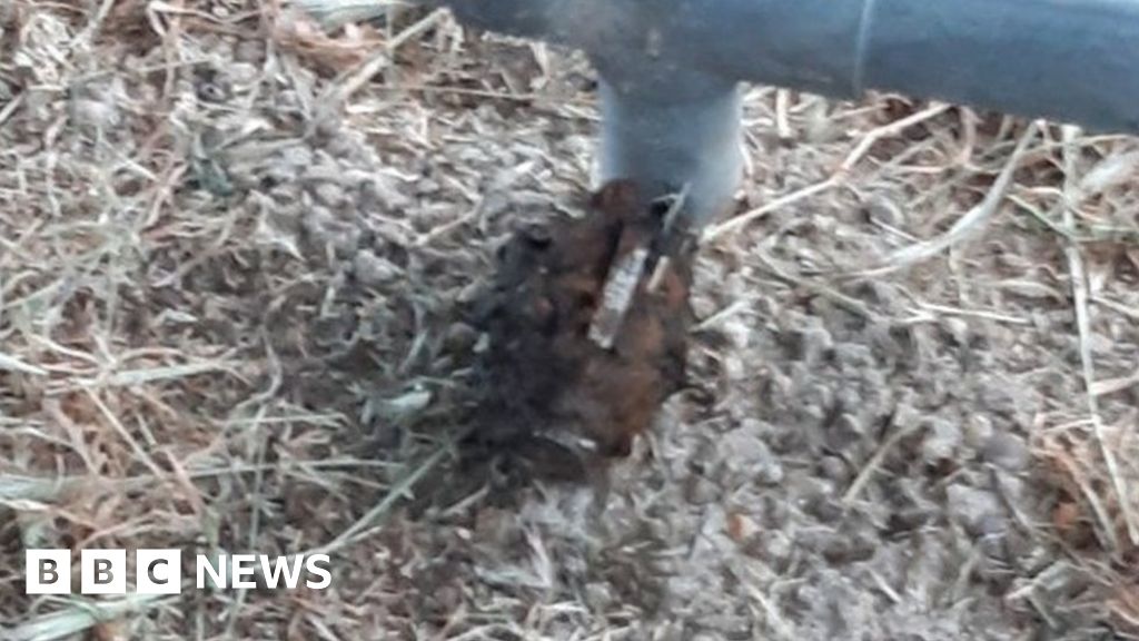 Magnet fisher pulls hand grenade from Nottingham river