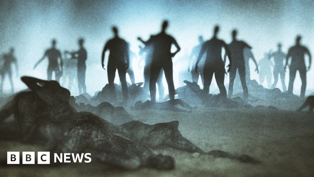 TED 2019: How to kill a zombie rumour and fix Facebook - BBC News