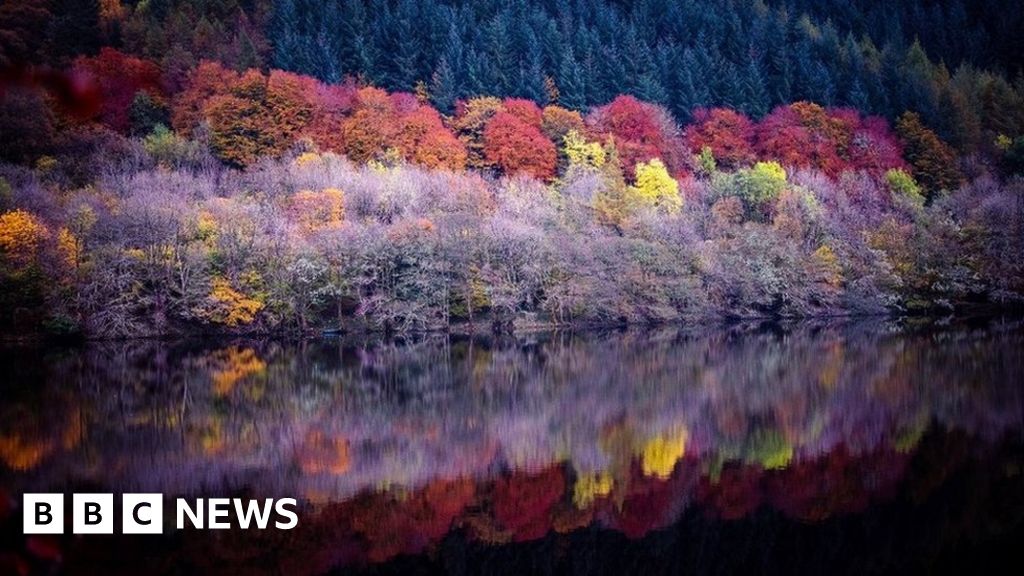 Your pictures of Scotland 20 - 27 November - BBC News