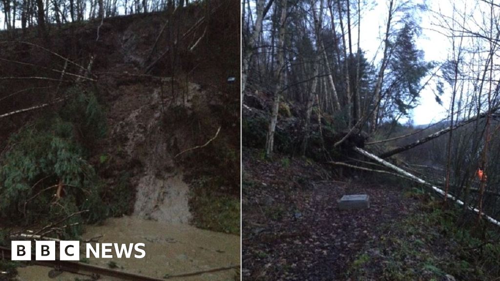 Fallen tree disrupts Hexham to Prudhoe rail services - BBC News
