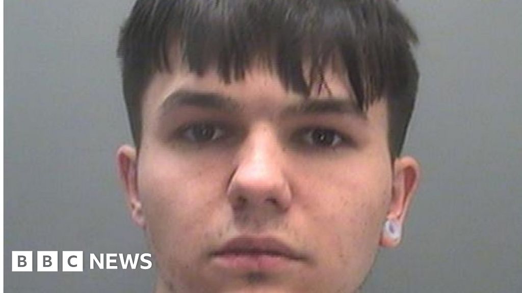 Ryan Hamer death crash: Cousin jailed for six months