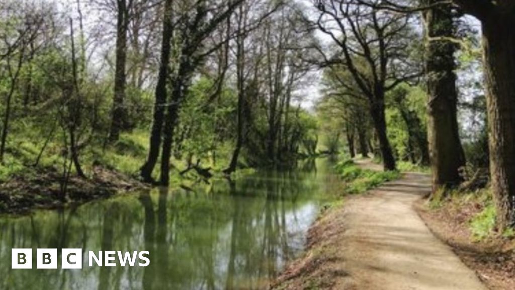 Volunteer dies working on Pewsham Locks near Chippenham - BBC News