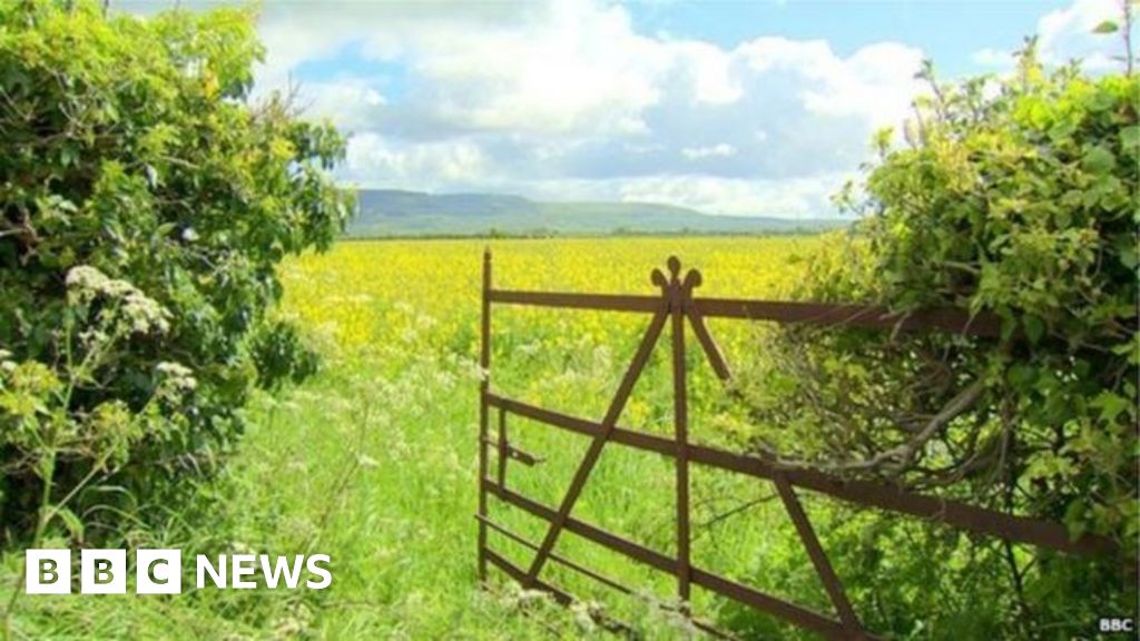 Public asked for views on plans for farming after Brexit