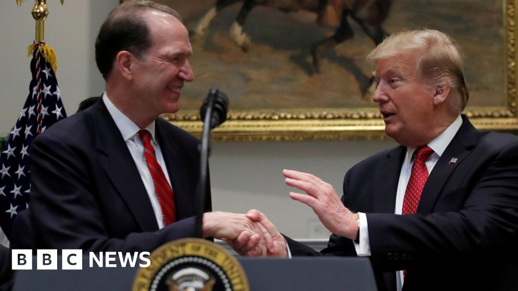 Trump backs World Bank critic Malpass for top job