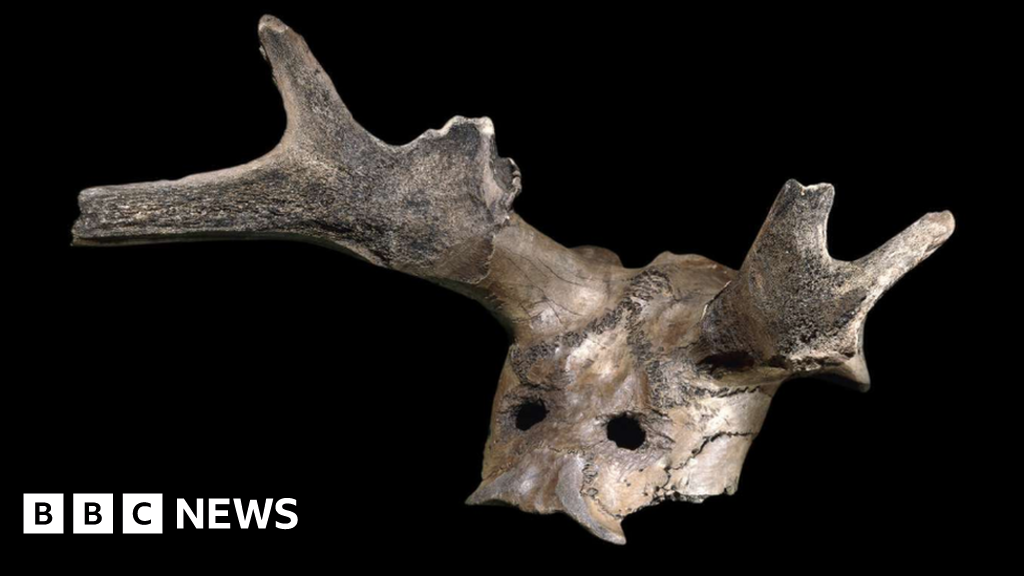 Star Carr: North Yorkshire's archaeological 'Tardis' 10 years on