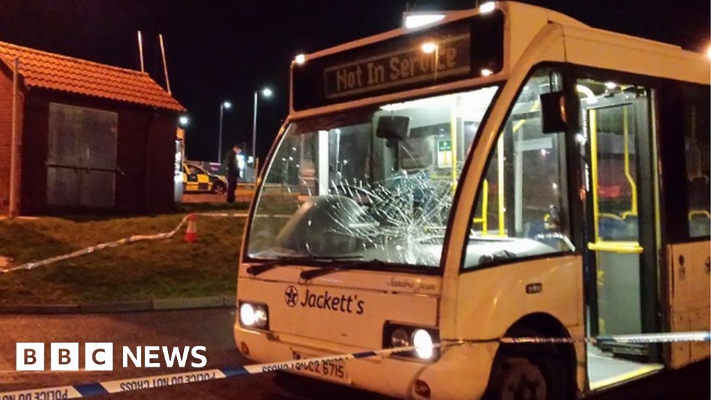 Woman seriously injured and dogs killed in Plymouth bus crash - BBC News