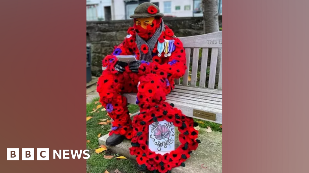 Full-size poppy soldier among North-East remembrance displays - BBC News