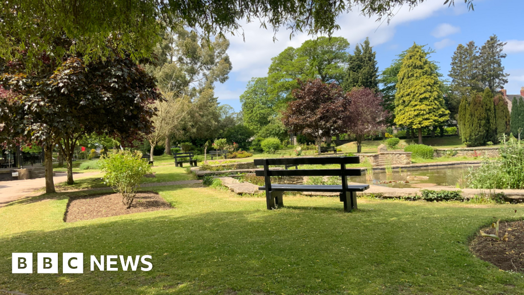 Lydney councillor says rewilding making a mess of town - BBC News