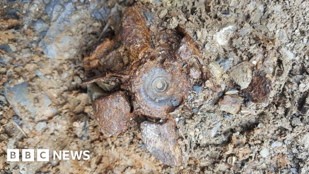 Unexploded WW2 bombs found on Isle of Man - BBC News