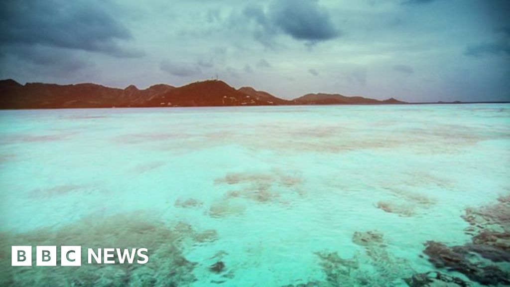 Island Stories: Old Providence, Colombia - BBC News