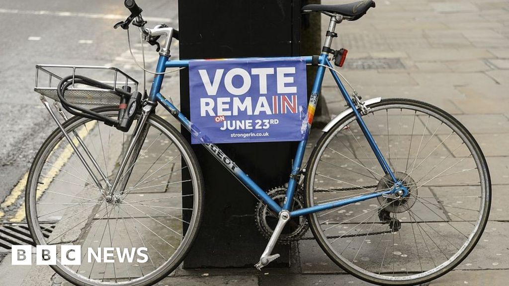 Remain EU referendum campaign spending claims rejected - BBC News
