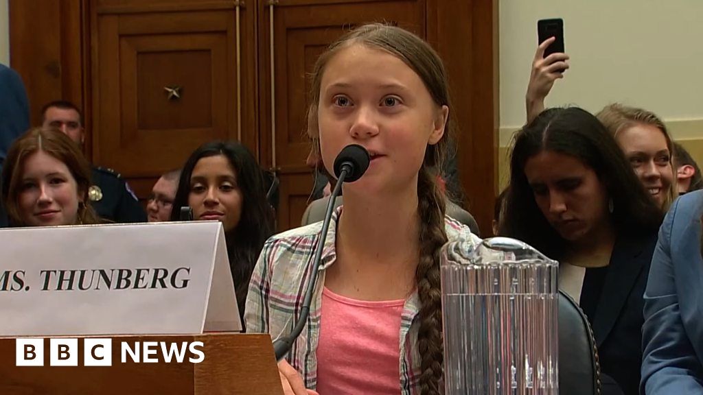 Greta Thunberg attends Congressional hearing
