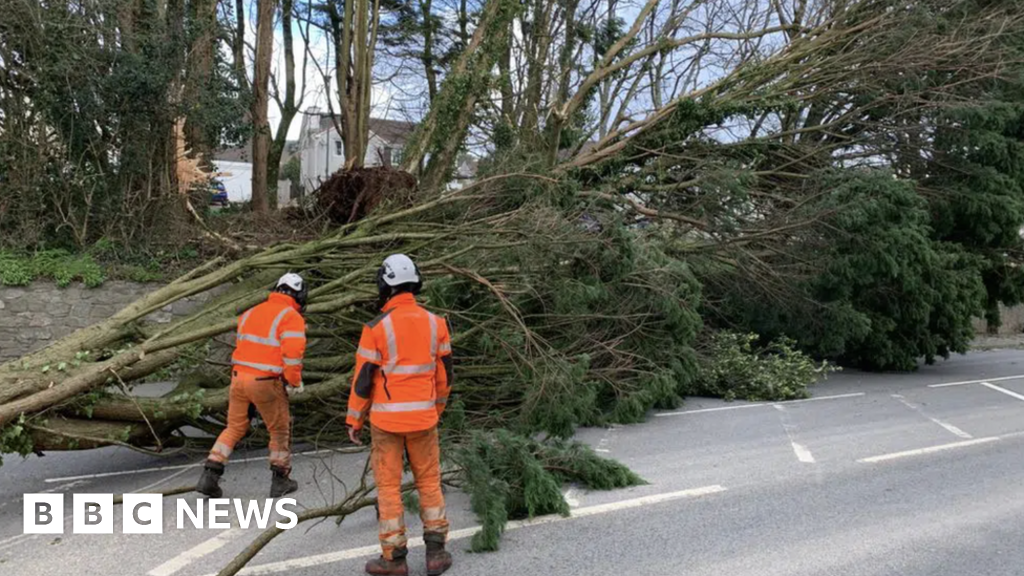 Storm damage leaves 1,400 still without power in South West - BBC News