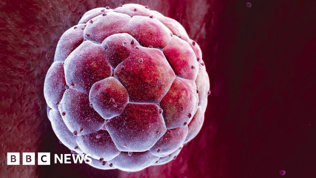Scientists seek permission to genetically modify embryos - BBC News