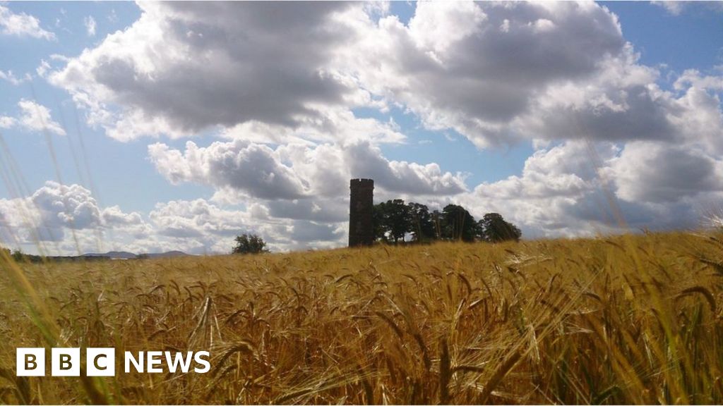 Cammo Estate set to get nature reserve status - BBC News