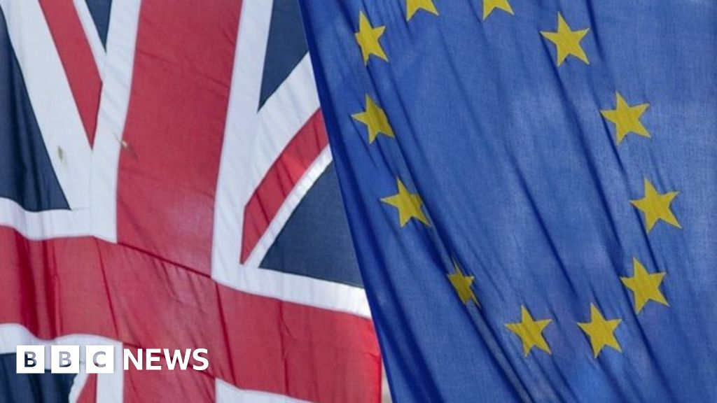 Second Eurosceptic group launches ahead of referendum - BBC News